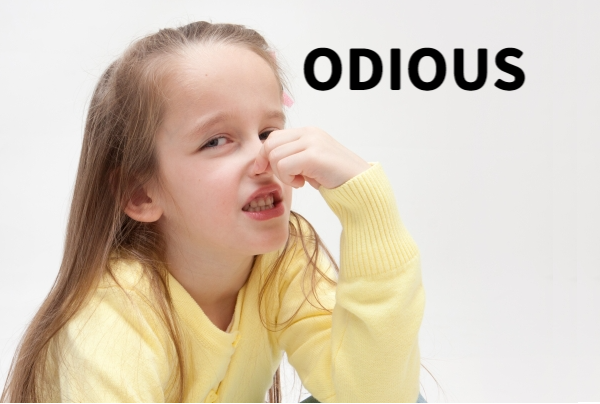 odious : 英単語資料（1000 most important wordsより）