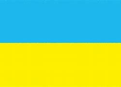 自分のやるべきことをやっていく : 美術と自然と教育と