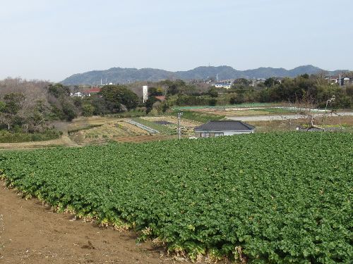 2022年3月11日(金) すかなごっそ : パソコン de あれこれ