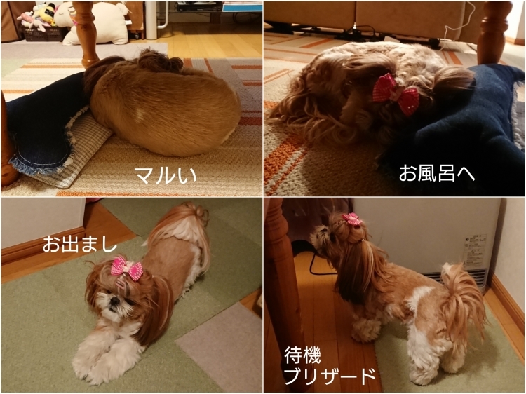 3月11日 11年… : マルコの日記