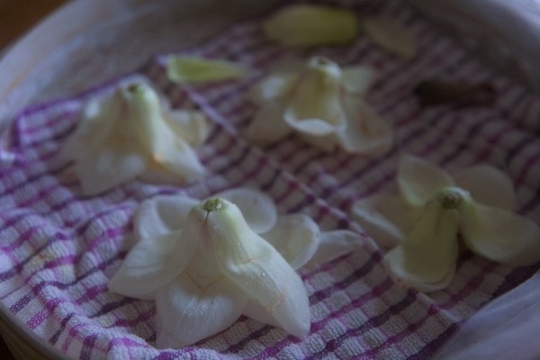 白木蓮で花茶をつくる : 世話要らずの庭