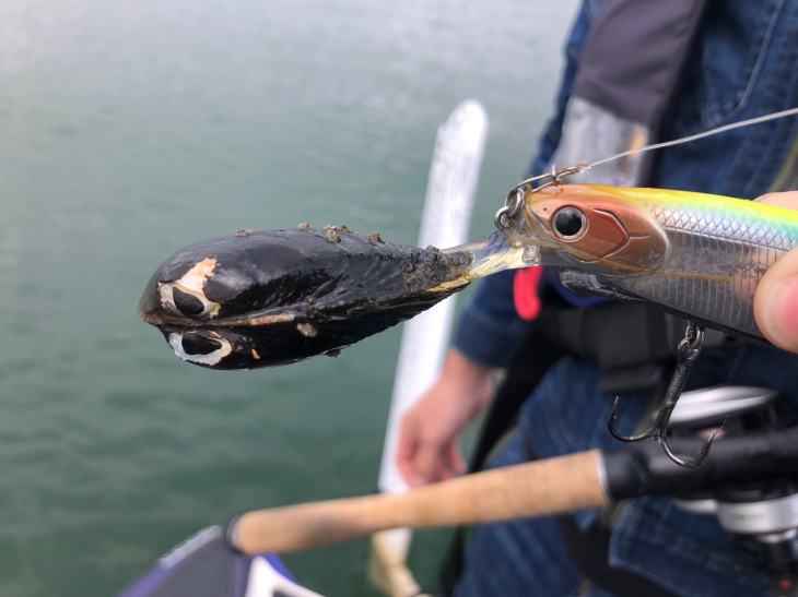 トリプルフック道場 : SHOTA Official Blog