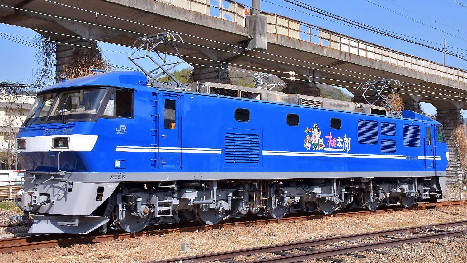 EF210-901検査出場 : 団塊鉄ちゃん気紛れ撮影記