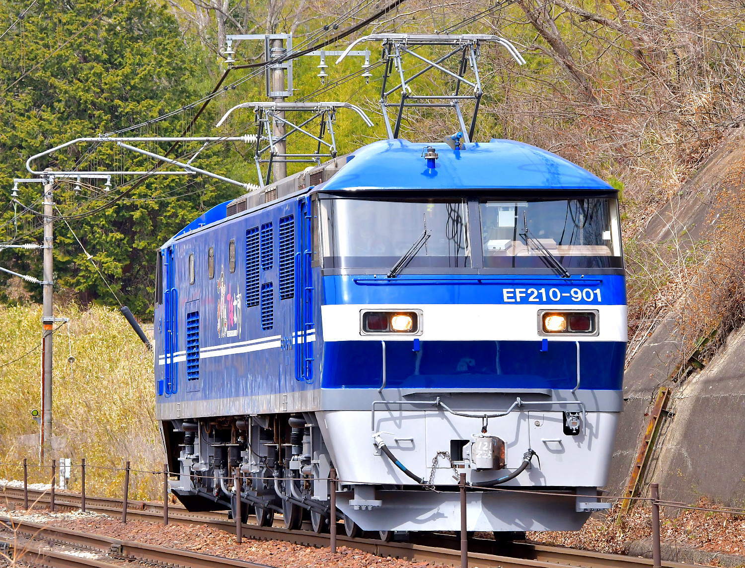 EF210-901検査出場 : 団塊鉄ちゃん気紛れ撮影記