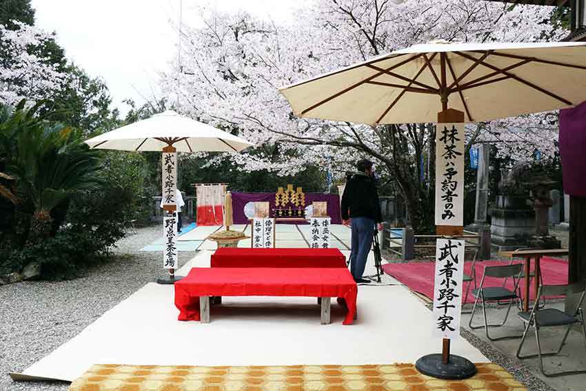 徳島県阿波市「御所神社」の春祭り-02♪ : すえドンのフォト日記