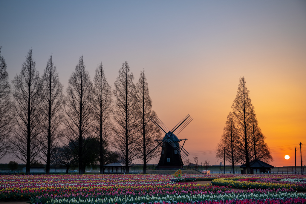 【あけぼの山農業公園】（2） : うろ子とカメラ。Ⅱ