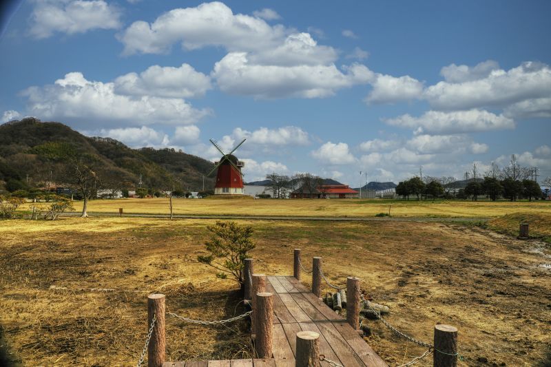風車のある風景 : の～んびりと・・・
