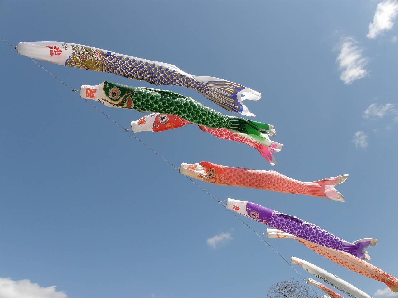 万葉集その八百九十一（皐月の歌） : 万葉集遊楽