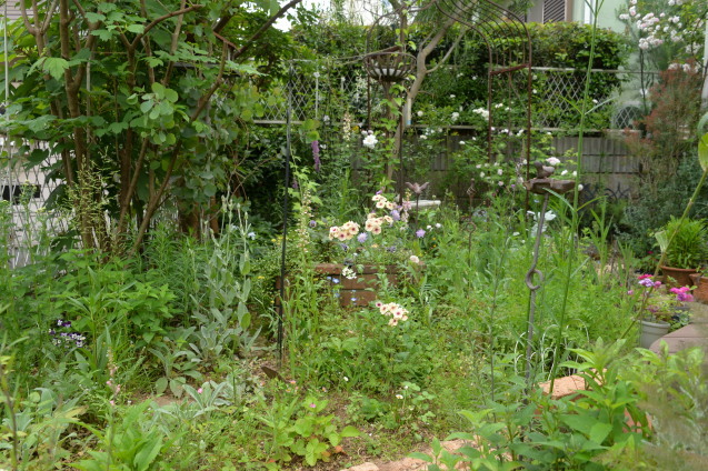 あっと言う間に庭がボウボウ : rurugardenと音符たち