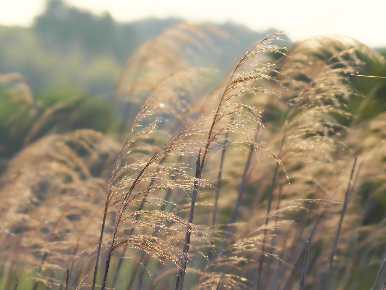 休日はタンデムツーリング