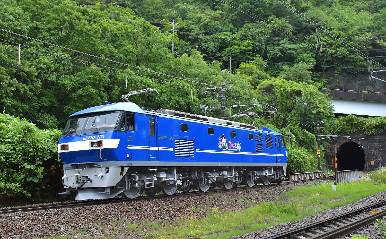 EF210-120検査出場 : 団塊鉄ちゃん気紛れ撮影記