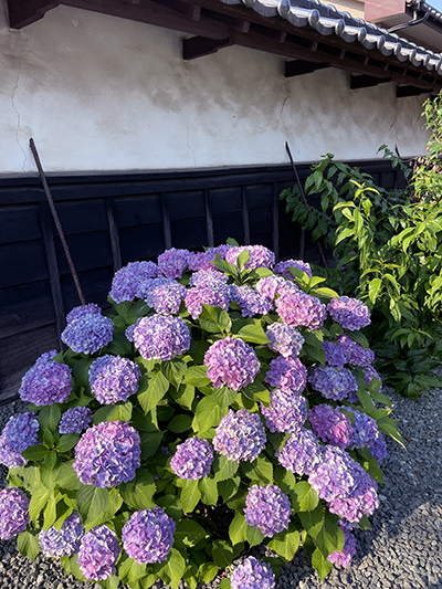 TOYO＋Associates 北九州にある設計事務所 日々の出来事ノート