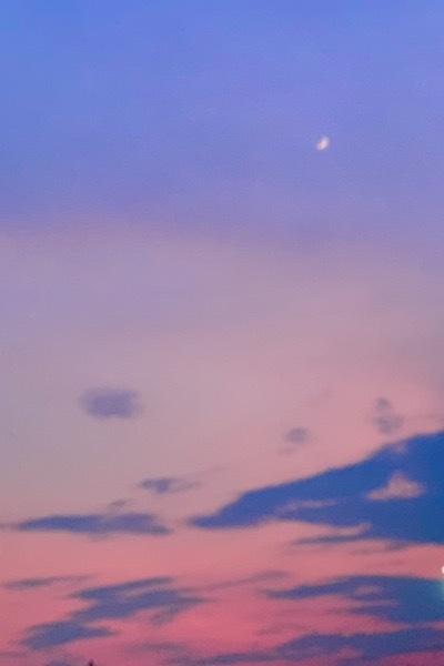 広角撮影（iphone / EOS 5D / EOS Kiss X7+EF-S10-18mm） : 世話要らずの庭