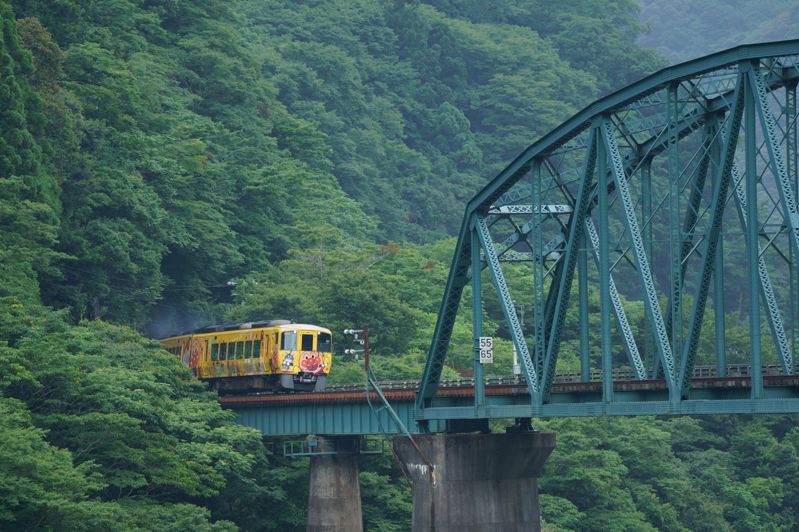 土讃線 48D特急南風18号 第二吉野川橋梁 : 南風・しまんと・剣山 ちょこっと・・・