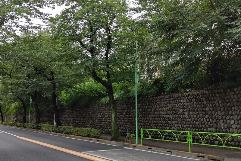 急激にコロナ感染者が増える : マンションの窓辺から