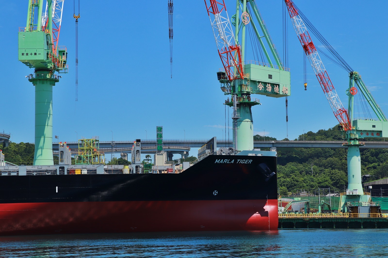 "MARLA TIGER" : 造船・船舶の画像2