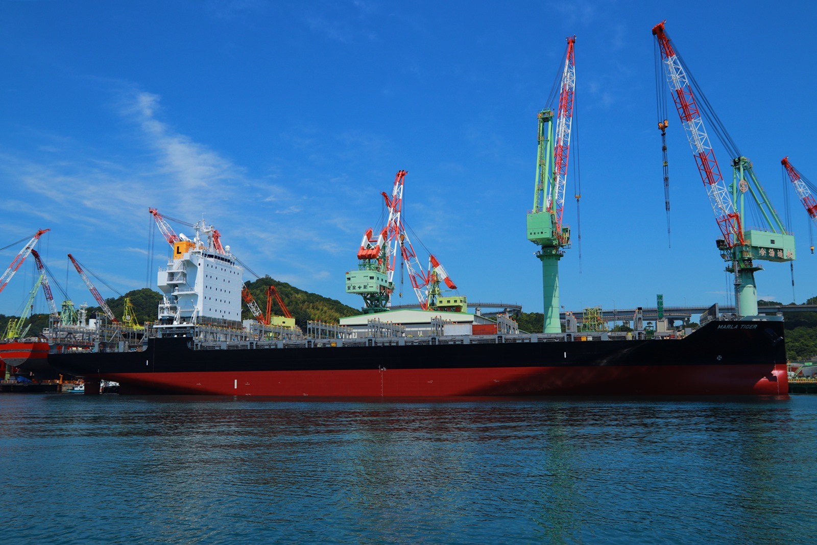 "MARLA TIGER" : 造船・船舶の画像2