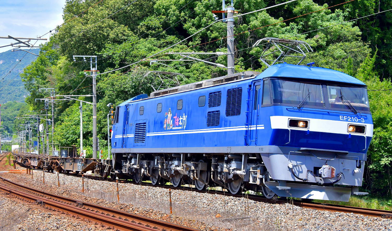 EF210-3運用入り : 団塊鉄ちゃん気紛れ撮影記