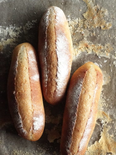 フランスパンの復習 : Baking Daily@TM5
