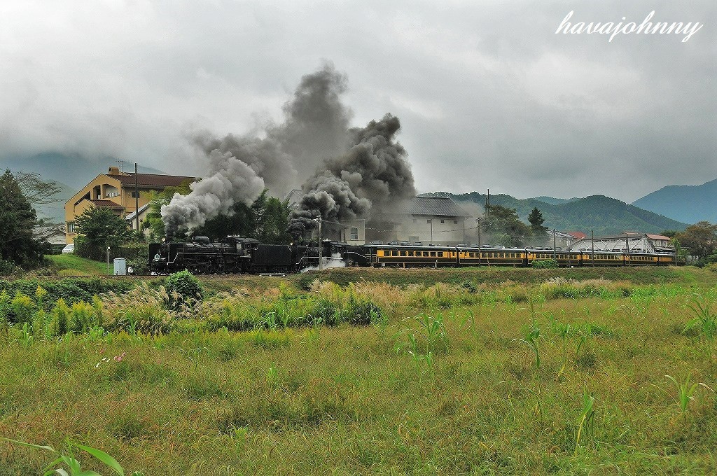 虎の車両～SLやまぐちなにわ～ : 蒸気に追いかけられて