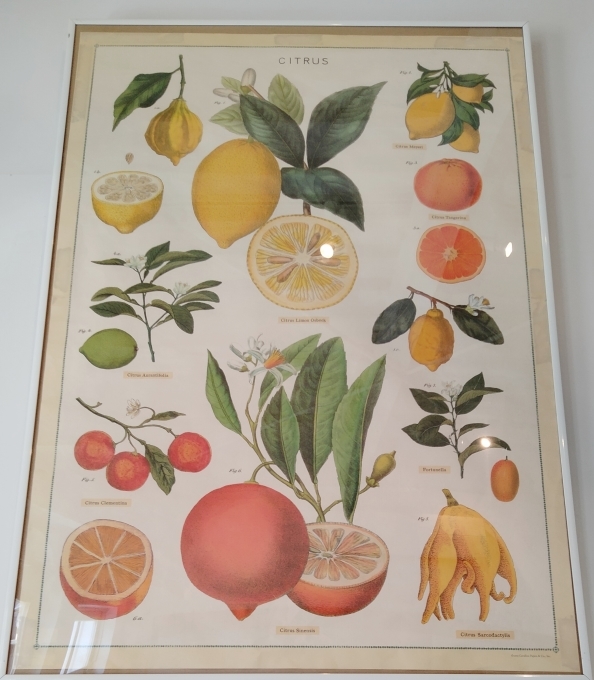 10月5日 達磨忌・達磨大師の名言 : 煎茶道方円流～東京東支部～