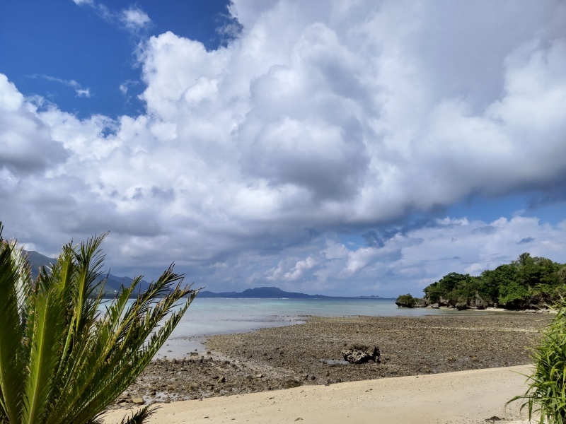 帰ってきました♪ : Emily diary